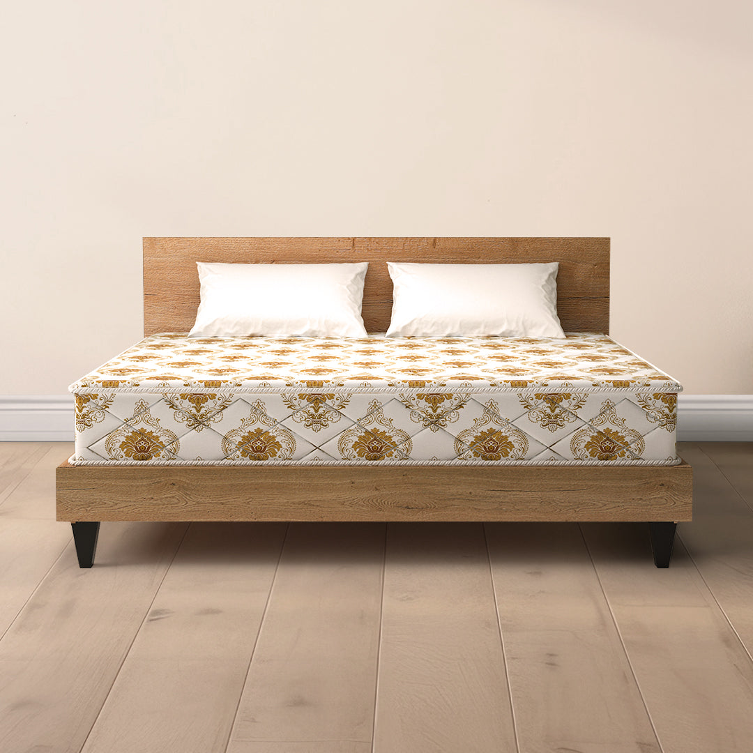 MoltyFoam– MasterFoam